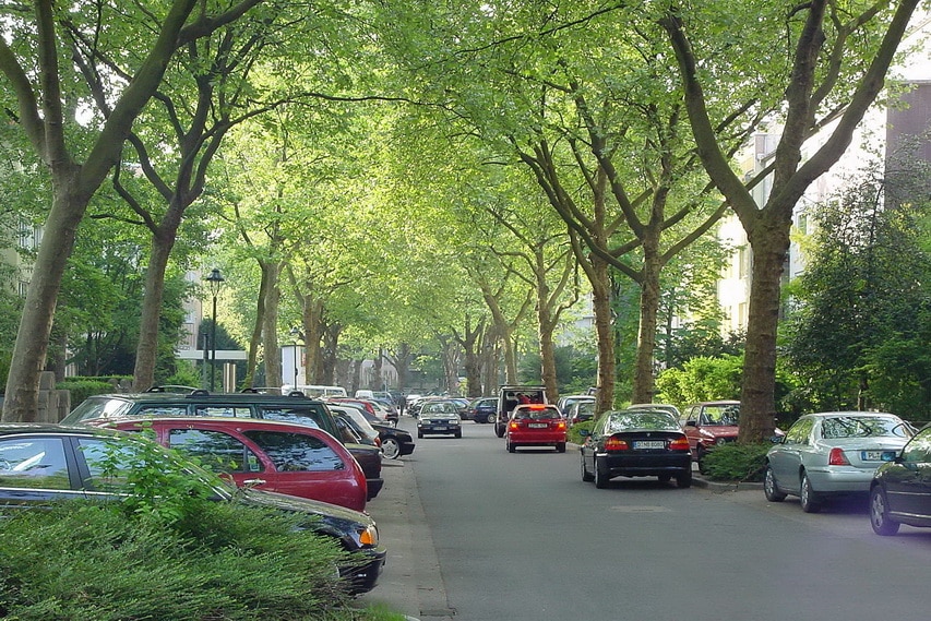 Über uns - Die grüne Stadt